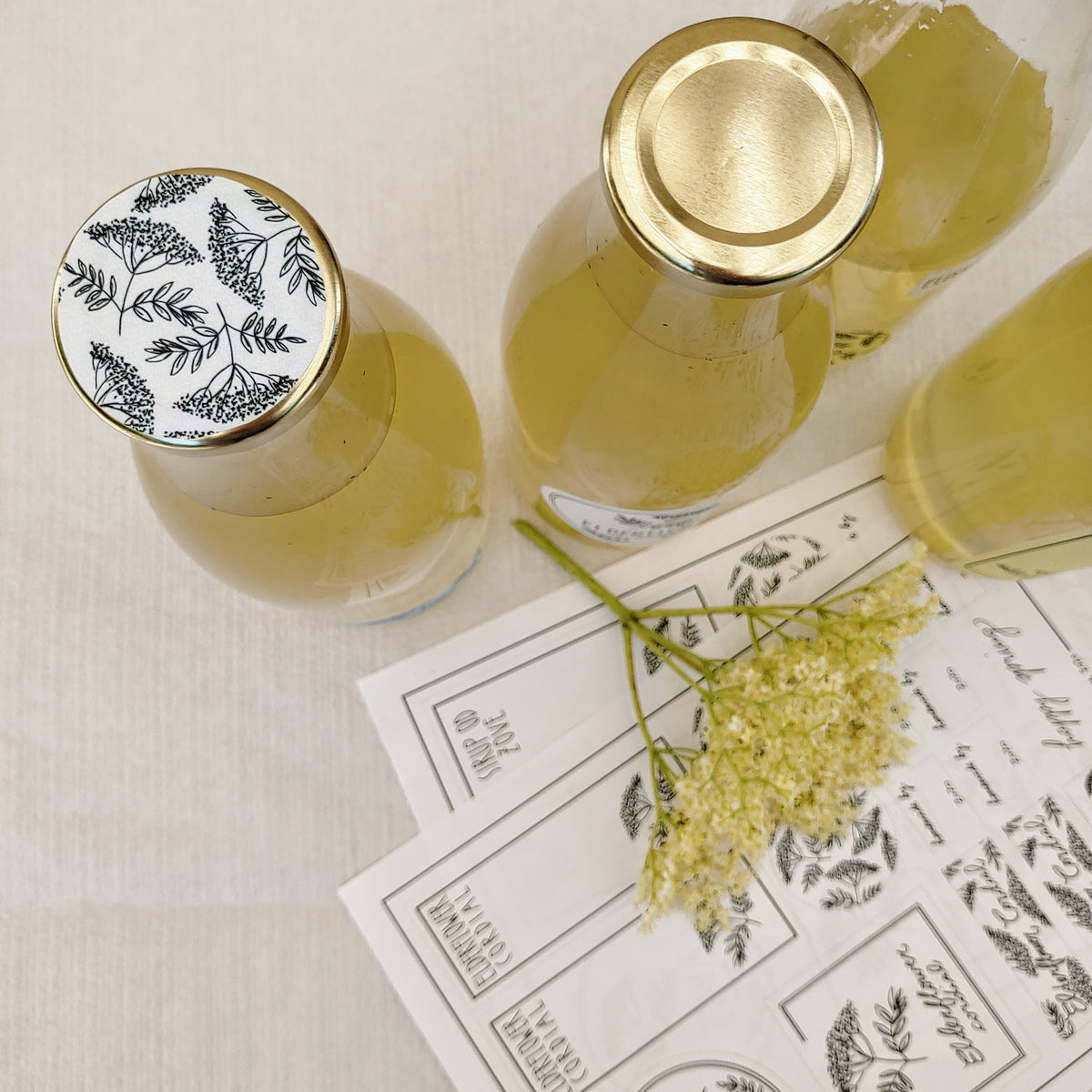 Elderflower Cordial Label - Printable – SonjaBajicStudio